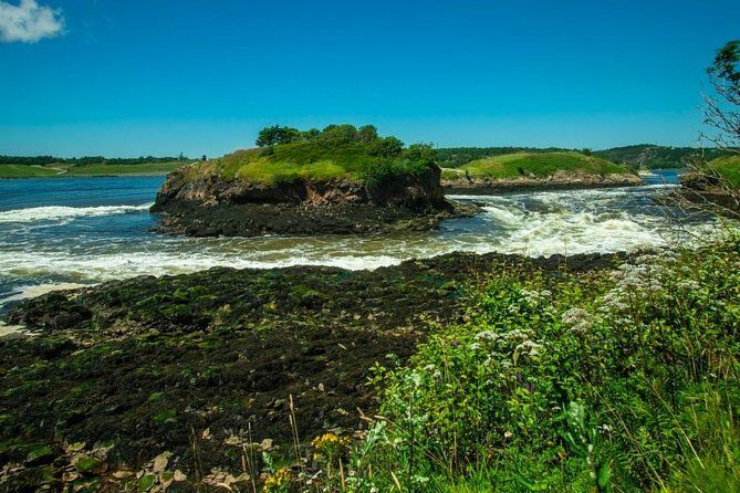 New Brunswick Shore Excursion: Bay of Fundy and More Highlights Tour - Who Should Book This Tour?