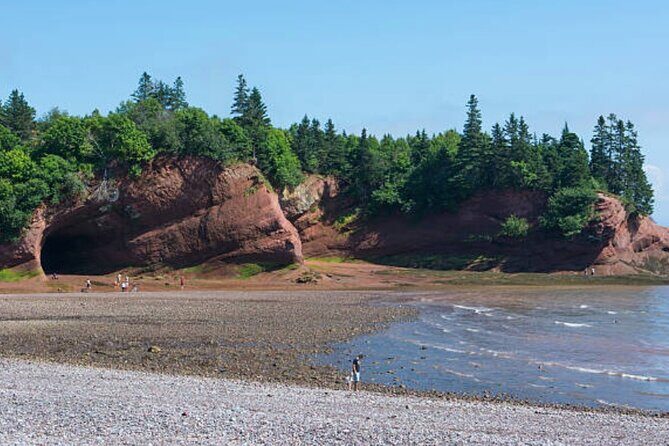 New Brunswick Shore Excursion: Bay of Fundy and More Highlights Tour - FAQ