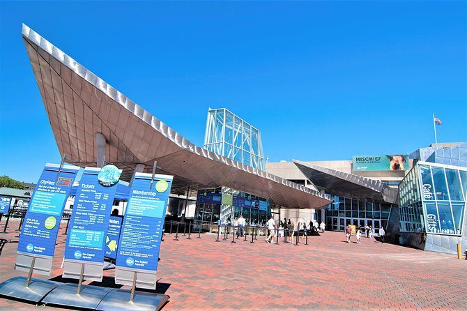 New England Aquarium Admission Ticket in Boston - A Closer Look at the Aquarium Experience