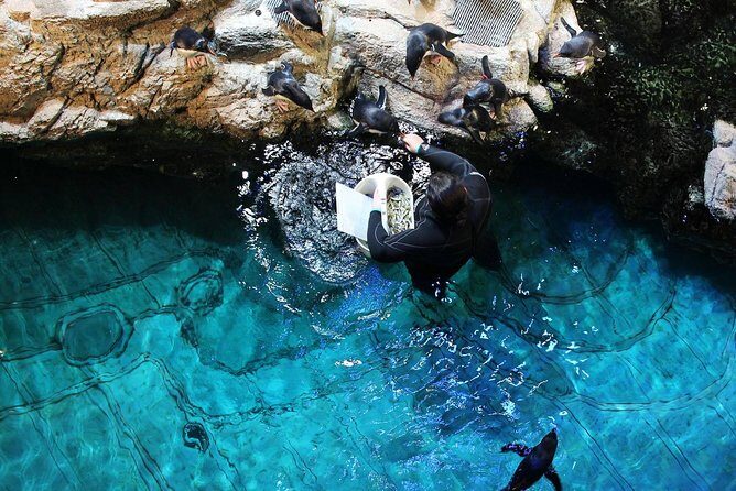 New England Aquarium Admission Ticket in Boston - FAQs