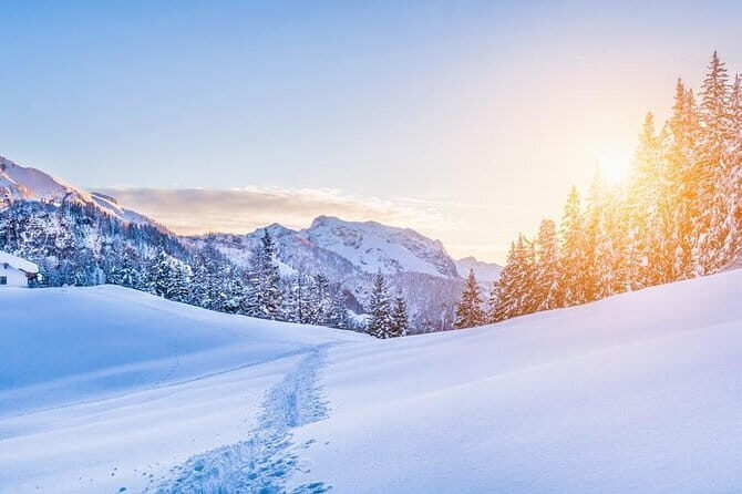 New Fiat 500X (SUV) Rental (all day) - Exploring Florence’s Iconic Landmarks