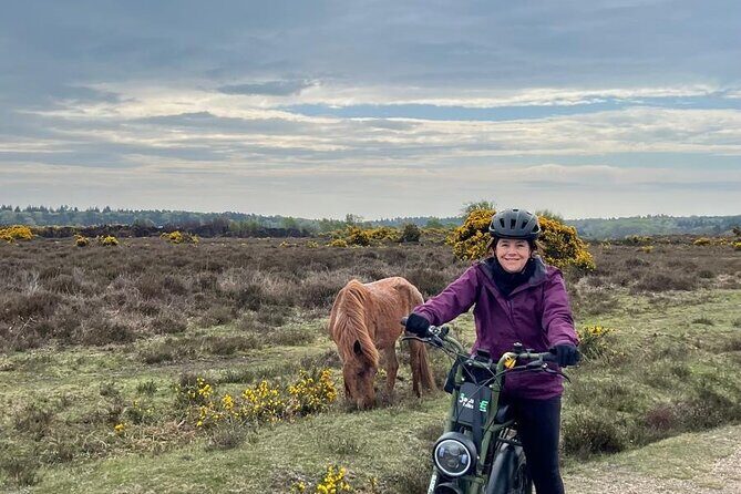New Forest E-Bike Adventure - The Sum Up
