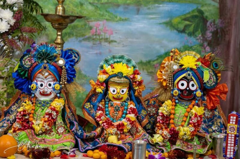 New Gokula Farm, Cessnock & Newcastle Day Tour from Sydney - Key Points