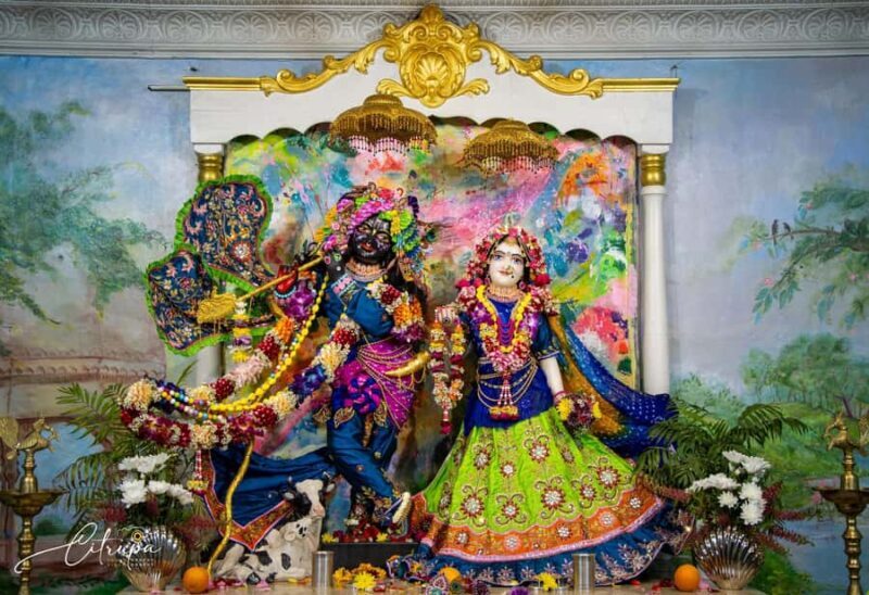 New Gokula Farm, Cessnock & Newcastle Day Tour from Sydney - Authentic Experiences Gleaned from Reviews