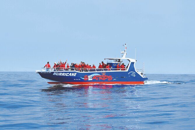 NEW Lagos-Watching Dolphins and Benagil Cave with Biologists - Introduction: What to Expect from the Lagos Dolphin & Cave Tour