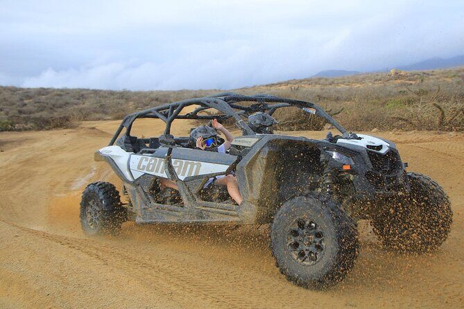 NEW! Off-Road Cabo Adventure: Beach & Desert Ride Tequila Tasting - Who Should Book This Tour?