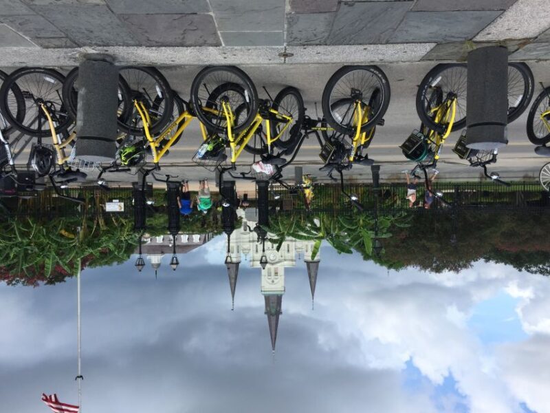 New Orleans: Buzz the Crescent Guided Bike Tour - The Practical Side: Price and Inclusions