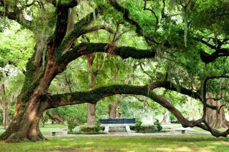 New Orleans: City & Cemetery Tour + Garden District Stroll - The Sum Up
