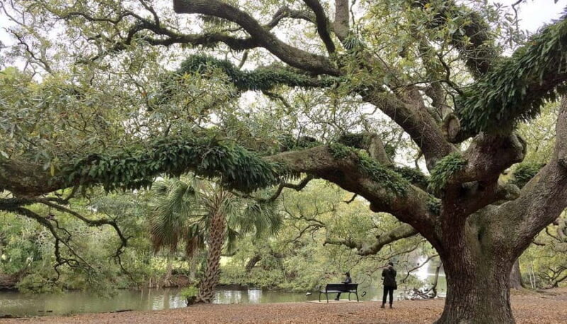 New Orleans Favorites: Beyond the French Quarter Tour - Exploring the Neighborhoods and Landmarks