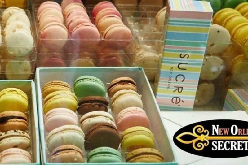 New Orleans: Magazine Street Foodie Tour - Discover the Charm of New Orleans on a Magazine Street Foodie Tour