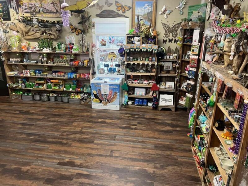 New Orleans Manchac Bayou Swamp Cruise W/ Optional Pick-Up - Practical Details: What to Expect