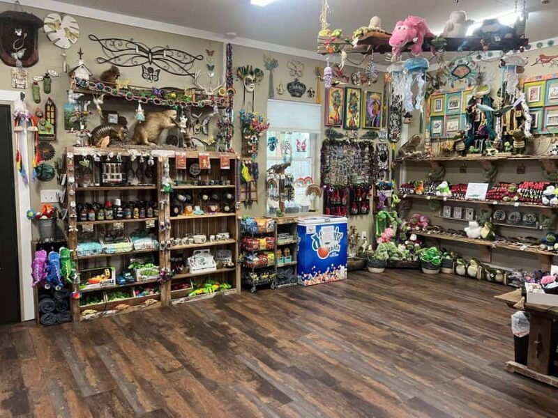 New Orleans Manchac Bayou Swamp Cruise W/ Optional Pick-Up - Final Thoughts