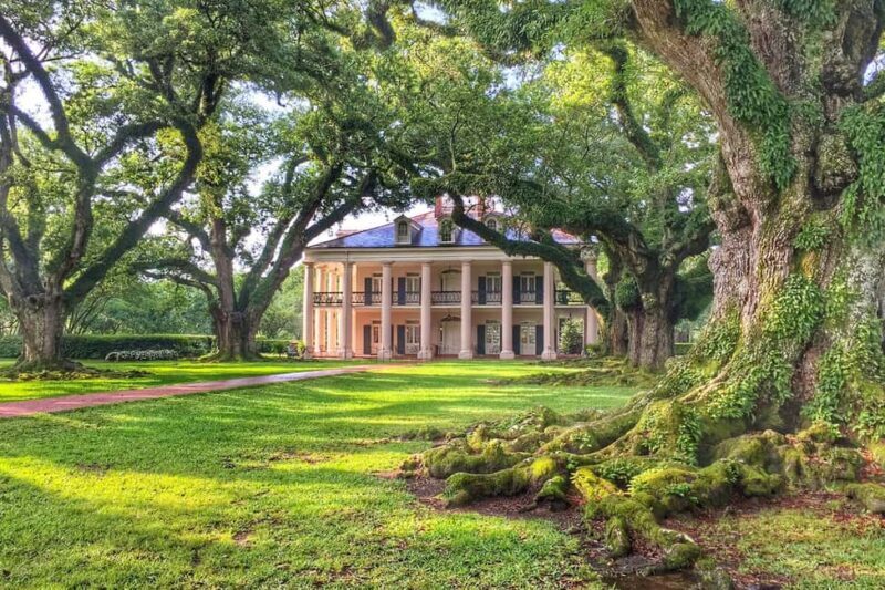 New Orleans: Swamp Boat Ride & Oak Alley Plantation Tour - The Sum Up