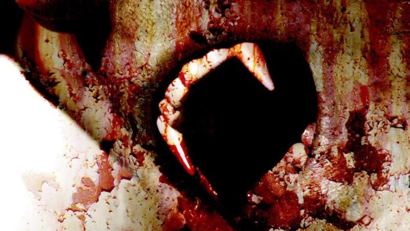 New Orleans: Vampires, Voodoo, and Ghosts Tour - The Sum Up