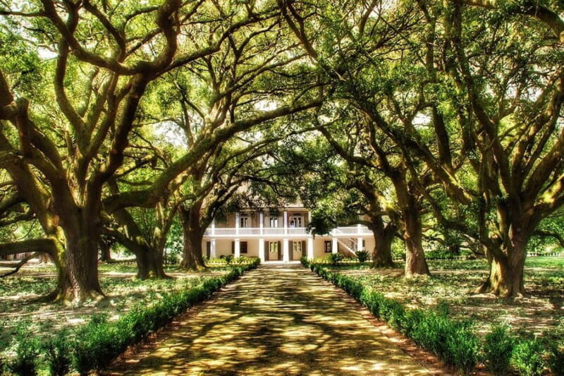 New Orleans: Whitney Plantation Tour with Transportation - The Sum Up