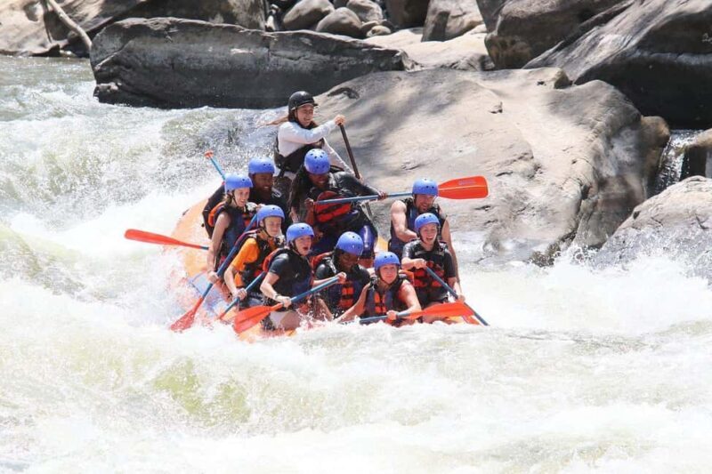 New River Gorge: Lower New River Full-Day Rafting Tour - Key Points