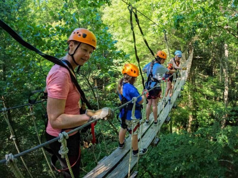 New River Gorge: TimberTrek Adventure Park Entry Ticket - Key Points