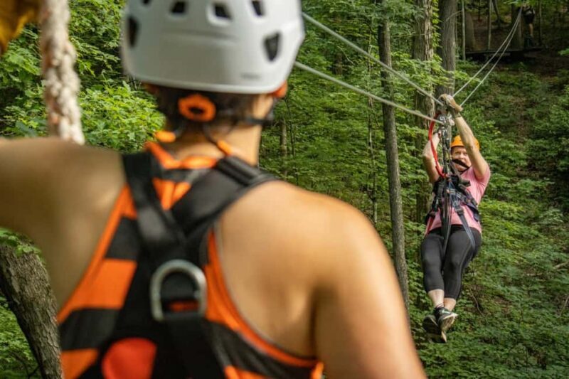 New River Gorge: TreeTops Zipline Tour - Key Points