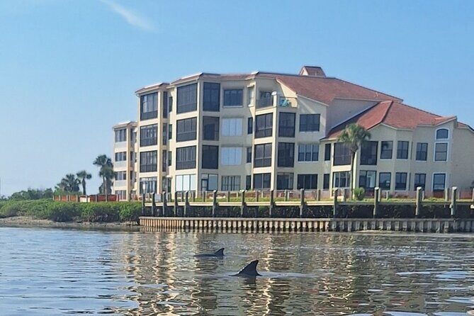 New Smyrna Mangrove Paddle & Mimosa Tour - A Closer Look at the Experience