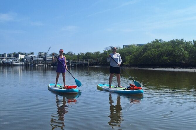 New Smyrna Mangrove Paddle & Mimosa Tour - Who Will Love This Tour?