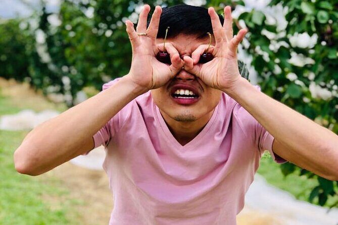 New South Wales Cherry Picking Tour - What Makes This Tour Stand Out