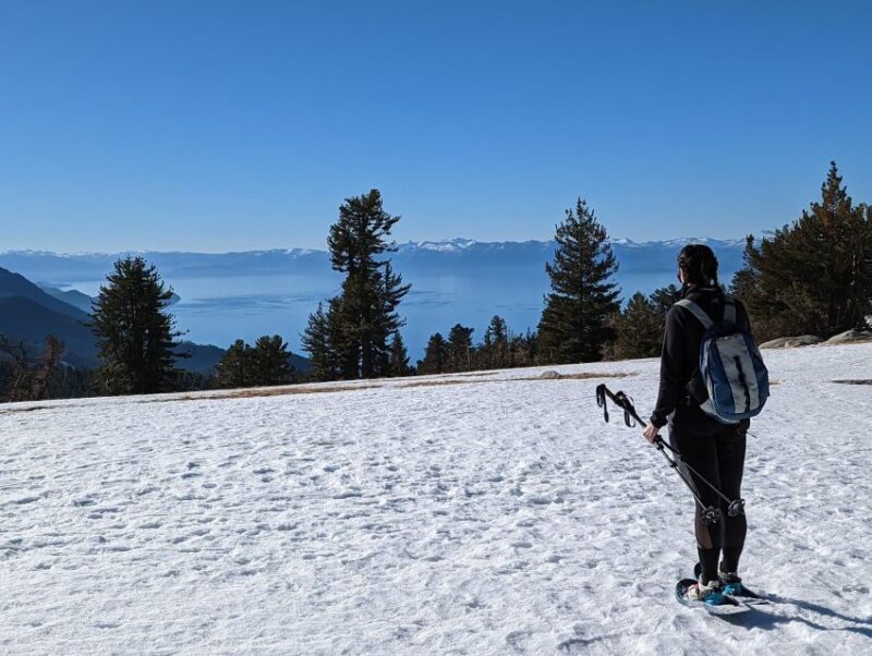 New Washoe City: Chickadee Ridge Beginner Snowshoeing Hike - What Reviewers Say and Why It Matters