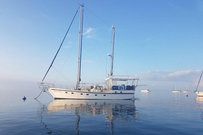 New Years Eve Sydney Harbour Cruise 2026-2027 - What Past Guests Say