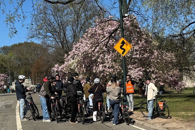 New York: Central Park Premium Bike Rental - Why This Bike Rental Works Well