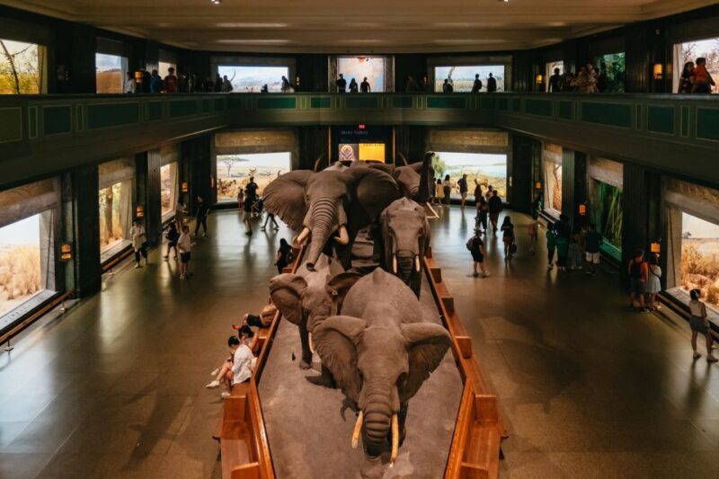 New York City: American Museum of Natural History Ticket - What Makes the American Museum of Natural History Worth Visiting?