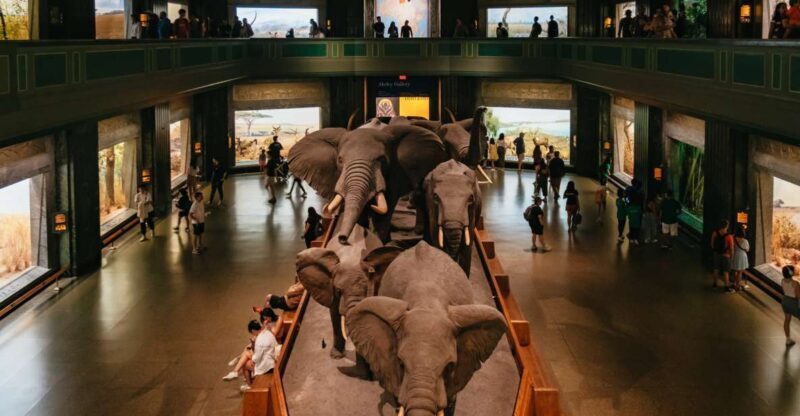 New York City: American Museum of Natural History Ticket - The Highlights of Your Visit