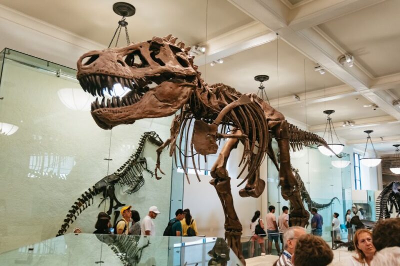 New York City: American Museum of Natural History Ticket - What’s Missing or Could Be Better?