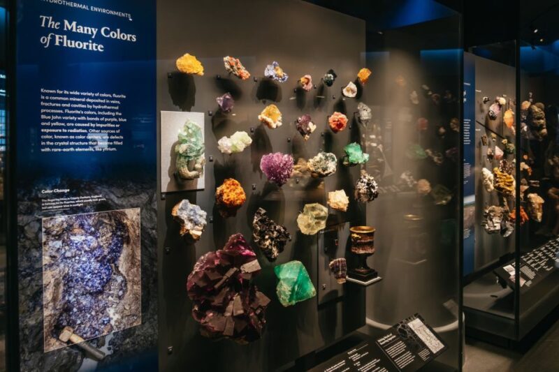 New York City: American Museum of Natural History Ticket - The Sum Up: Who Will Love This Experience?