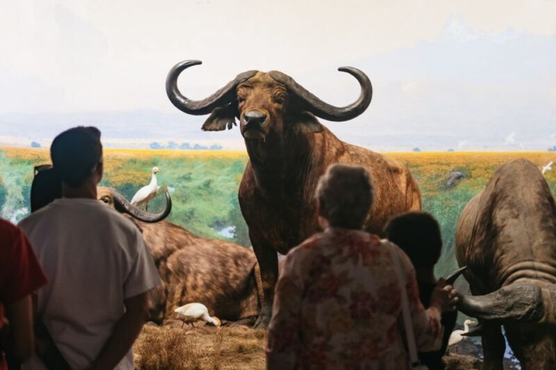 New York City: American Museum of Natural History Ticket - FAQs