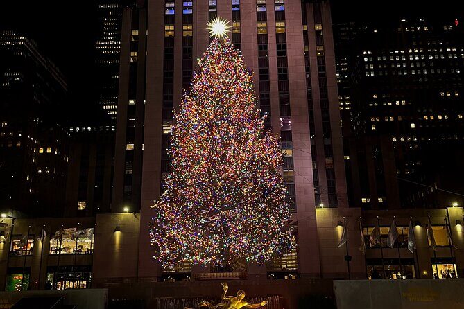 New York City Custom Private Tour with Japanese/English Guide - Who Should Book This Tour?