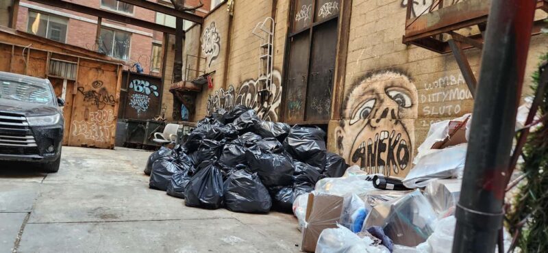 New York City: Garbage and Rats Walking Tour - Uncovering NYC’s Hidden Urban Challenges