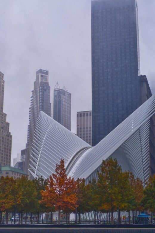 New York City: Private Highlights Tour by Minivan - FAQ