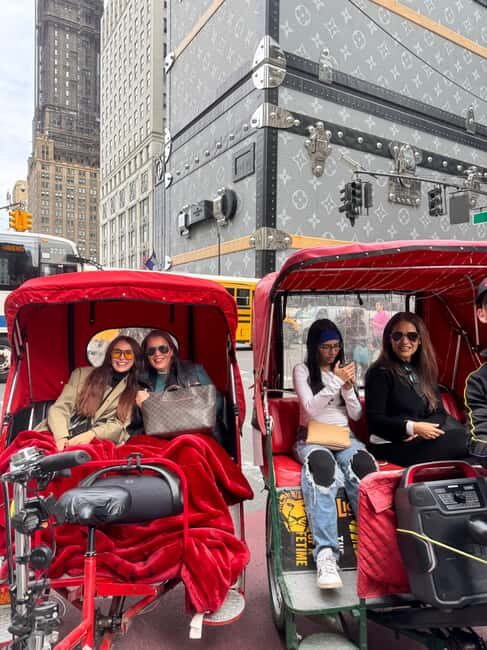 New York City Private Tour - The Ride Experience: Comfort, Flexibility, and Fun