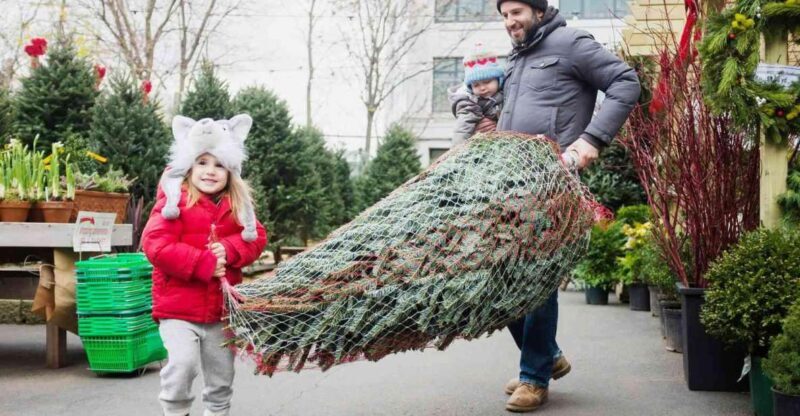 New York Citys Private Iconic Christmas Tour - The Price and Value