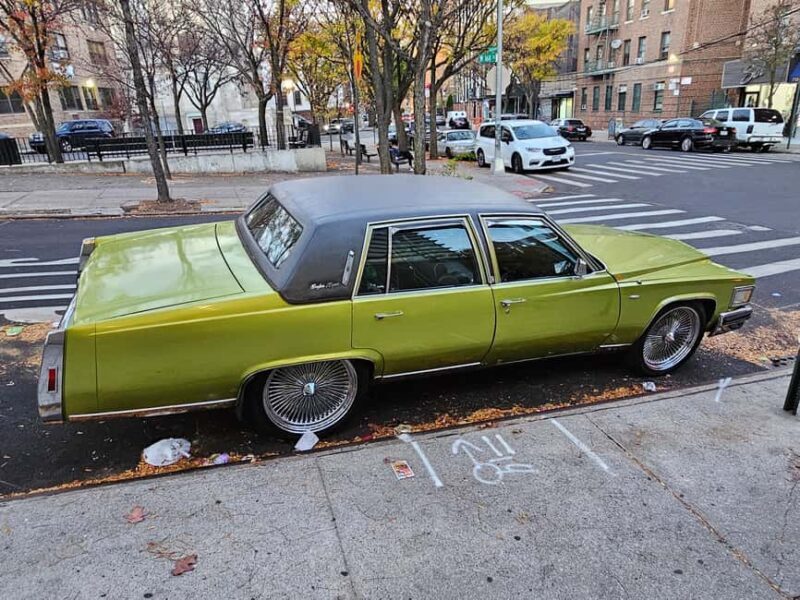 New York: Hip-Hop, Murals, Sports, and Dangerous Neighborhoods Tour - The Experience of the Guides