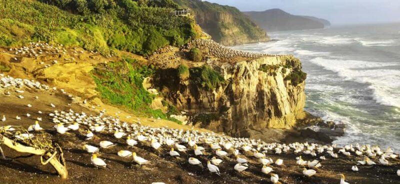 New Zealand: 9-Day Private Tour with 14-16 Activities - Key Points