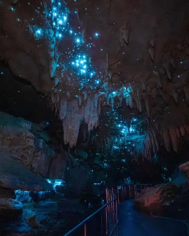 New Zealand: Milky Way Glowworm Cave Tour - The Sum Up
