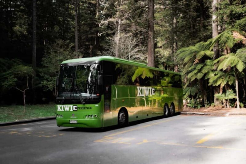 New Zealand: North Island Hop-On Hop-Off Pass - Day 2: Exploring Rotorua and Geothermal Wonders