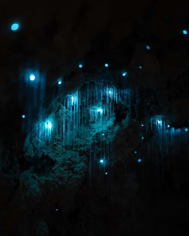 New Zealand: Starburst Cathedral in Milky Way Glowworm Cave - Key Points