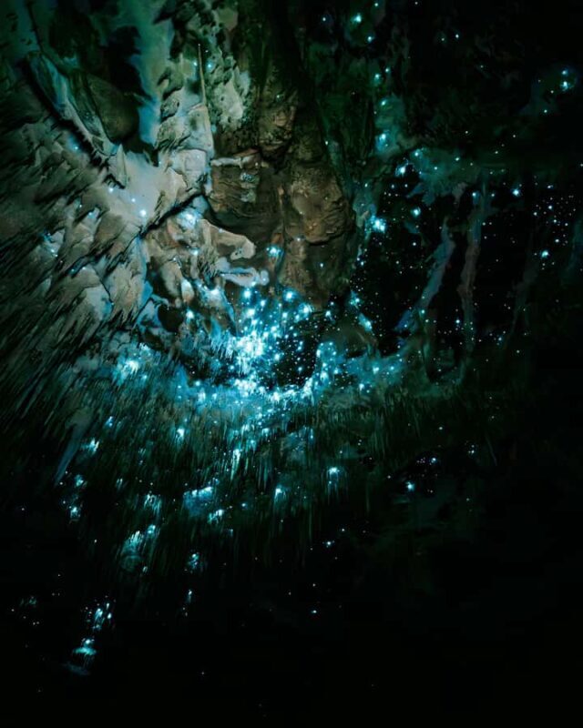 New Zealand: Starburst Cathedral in Milky Way Glowworm Cave - The Practicalities