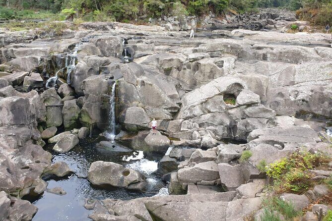 New Zealand Tauranga Tour with Transportation and Snacks - Practical Details and Logistics