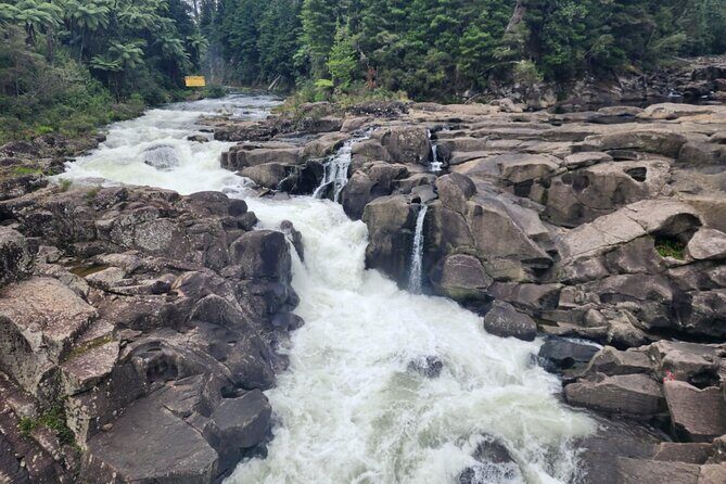 New Zealand Tauranga Tour with Transportation and Snacks - FAQ