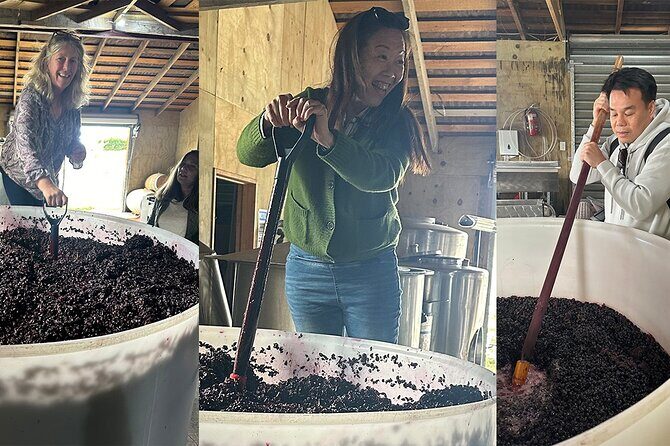 New Zealand Wellington Airport (WLG) to Wellington City Centre - Review Insights and Real Traveler Experiences