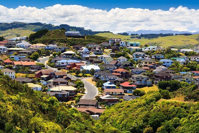 New Zealand Wellington Airport (WLG) to Wellington City Centre - Practical Tips for Travelers