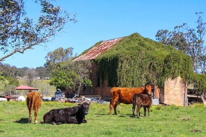 Newcastle: Country Towns River & Farm Tour with BBQ - Practicalities and What to Expect