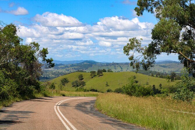 Newcastle: Country Towns River & Farm Tour with BBQ - Authentic Insights from Reviewers